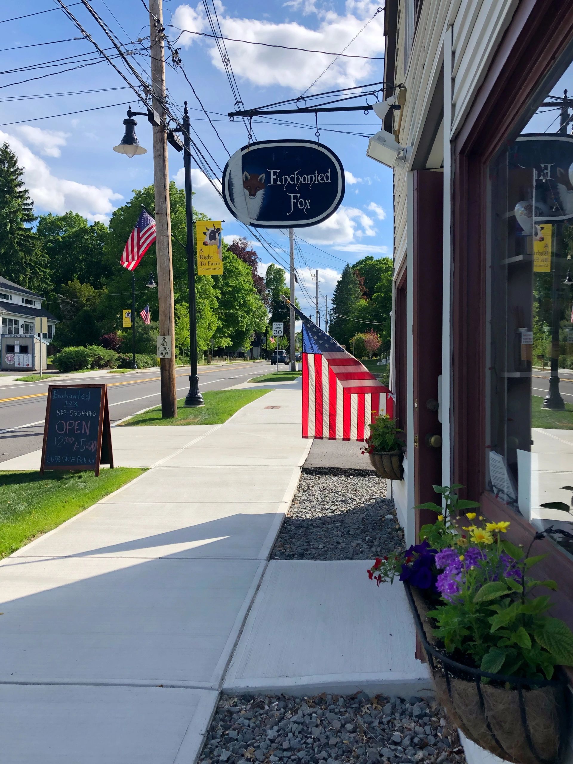 The Enchanted Fox - Psychic Readings, Crystals, Sacred Gifts